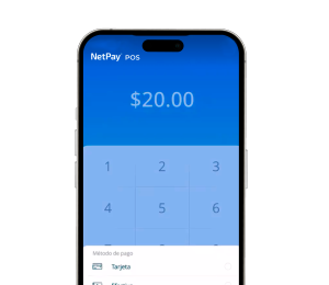 Link - NetPay